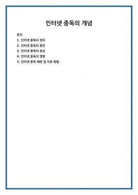 인터넷 중독의 개념-1페이지