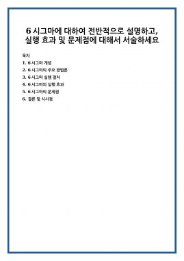 6시그마 개념 6시그마의 주요 방법론 6시그마 실행 절차 6시그마의 실행 효과-1페이지