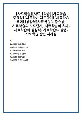 [사료학습][사료][학습][사료학습 중요성][사료학습 지도단계][사료학습 효과][상상력]사료학습의 중요성, 사료학습의 지도단계, 사료학습의 효과, 사료학습의 상상력, 사료학습의 방법, 사료학습 관련 시사점-1페이지