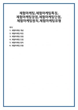 체험마케팅,체험마케팅특징,체험마케팅장점,체험마케팅단점,체험마케팅원칙,체험마케팅유형-1페이지