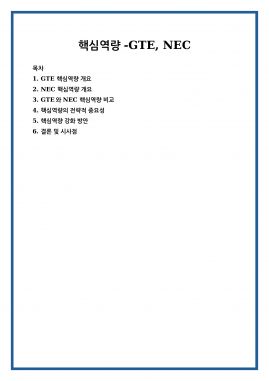 핵심역량 -GTE, NEC-1페이지