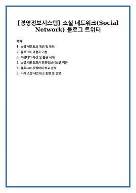 [경영정보시스템] 소셜 네트워크(Social Network) 블로그 트위터-1페이지