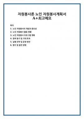 자원봉사론 노인 자원봉사계획서-1페이지