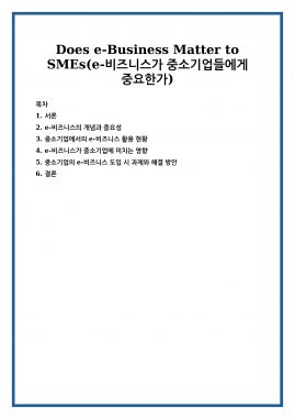 Does e-Business Matter to SMEs(e-비즈니스가 중소기업들에게 중요한가)-1페이지