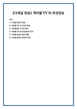 [다채널 방송] 캐이블TV와 위성방송-1페이지