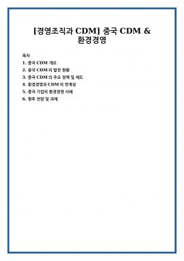 [경영조직과 CDM] 중국 CDM & 환경경영-1페이지