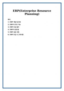 ERP(Enterprise Resource Planning)-1페이지