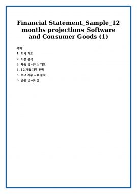 Financial Statement_Sample_12 months projections_Software and Consumer Goods (1)-1페이지
