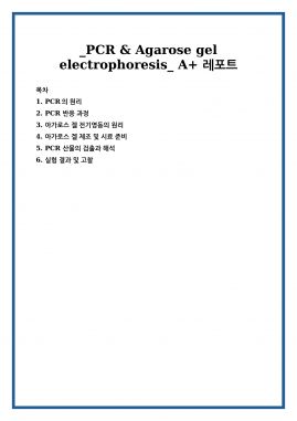_PCR & Agarose gel electrophoresis_-1페이지