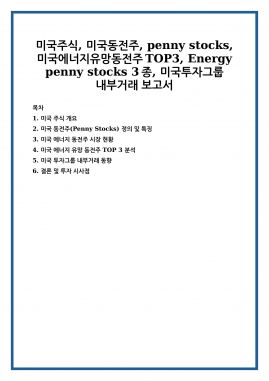 미국주식, 미국동전주, penny stocks, 미국에너지유망동전주TOP3, Energy penny stocks 3종, 미국투자그룹 내부거래 보고서-1페이지