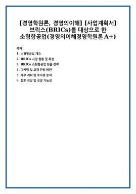 [경영학원론, 경영의이해] [사업계획서]브릭스(BRICs)를 대상으로 한 소형항공업(경영의이해경영학원론)-1페이지