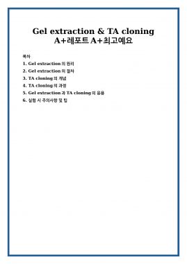 Gel extraction & TA cloning-1페이지