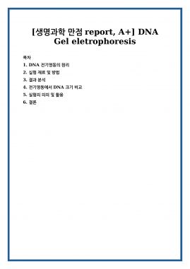 [생명과학 만점 report,] DNA Gel eletrophoresis-1페이지