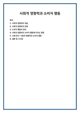 사회적 영향력과 소비자 행동-1페이지