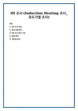 IH 조사 (Induction Heating 조사_유도가열 조사)-1페이지