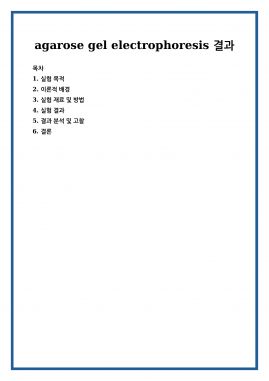 agarose gel electrophoresis 결과-1페이지