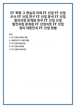 IT 혁명 그 현실과 미래 IT 산업 IT 산업 조사 IT 산업 연구 IT 산업 분석 IT 산업 발전과정 문제점 한국 IT 산업 산업 발전과정 문제점 IT 산업이란 IT 산업 정의 대한민국 IT 산업 현황-1페이지