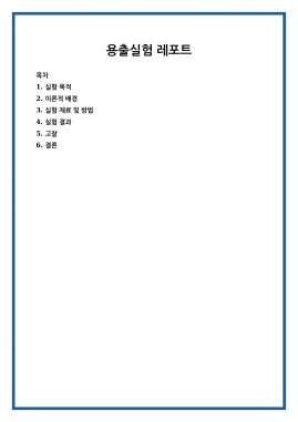 용출실험 레포트-1페이지