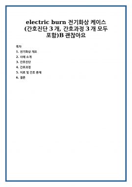 electric burn 전기화상 케이스 (간호진단 3개, 간호과정 3개 모두 포함)B괜찮아요-1페이지