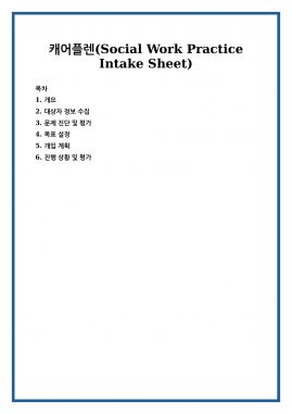캐어플렌(Social Work Practice Intake Sheet)-1페이지