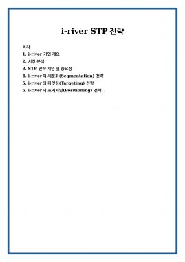 i-river STP전략 레포트 자료-1페이지