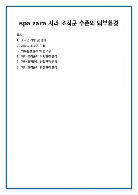 spa zara 자라 조직군 수준의 외부환경-1페이지
