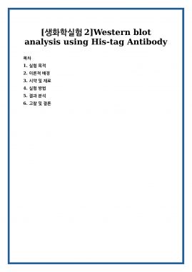 [생화학실험2]Western blot analysis using His-tag Antibody-1페이지