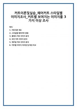커트이론및실습_헤어커트 스타일별 이미지조사_커트별 보여지는 이미지를 3가지 이상 조사-1페이지