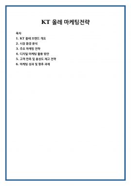KT 올레 마케팅전략-1페이지