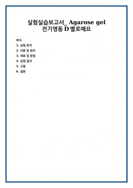 실험실습보고서_ Agarose gel 전기영동D별로예요-1페이지