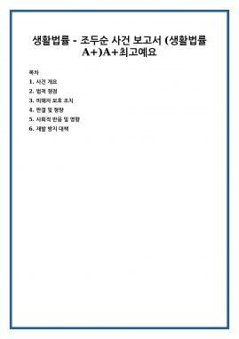 생활법률 - 조두순 사건 보고서 (생활법률)-1페이지