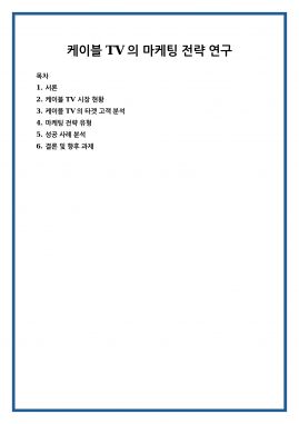 케이블 TV의 마케팅 전략 연구-1페이지