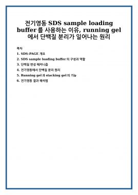전기영동 SDS sample loading buffer를 사용하는 이유, running gel에서 단백질 분리가 일어나는 원리-1페이지