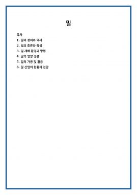 밀 레포트 자료-1페이지