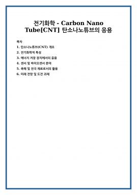 전기화학 - Carbon Nano Tube[CNT] 탄소나노튜브의 응용-1페이지