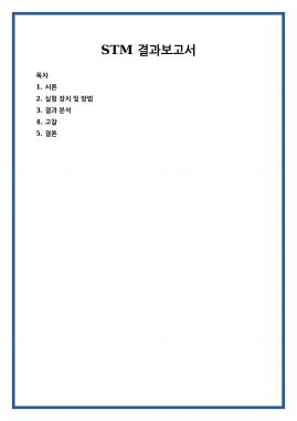 STM 결과보고서-1페이지