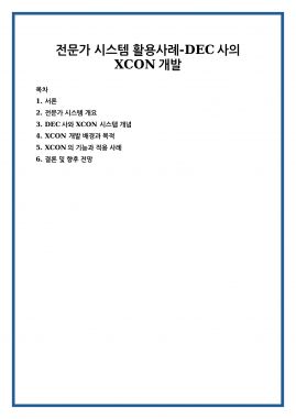 전문가 시스템 활용사례-DEC사의 XCON개발-1페이지
