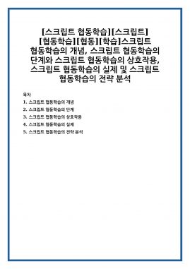 [스크립트 협동학습][스크립트][협동학습][협동][학습]스크립트 협동학습의 개념, 스크립트 협동학습의 단계와 스크립트 협동학습의 상호작용, 스크립트 협동학습의 실제 및 스크립트 협동학습의 전략 분석-1페이지
