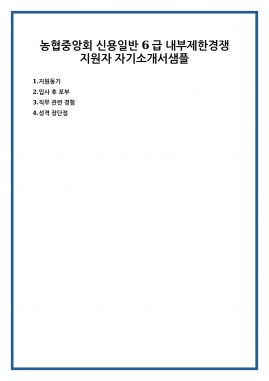 농협중앙회 신용일반 6급 내부제한경쟁 지원자 자기소개서샘플-1페이지