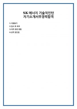 SK에너지 기술직인턴 자기소개서무경력합격-1페이지