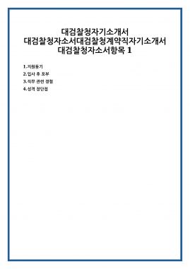 대검찰청자기소개서 대검찰청자소서대검찰청계약직자기소개서대검찰청자소서항목1-1페이지