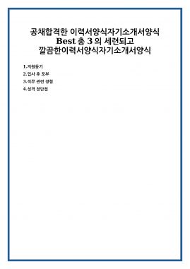 공채합격한 이력서양식자기소개서양식Best총 3의 세련되고 깔끔한이력서양식자기소개서양식-1페이지