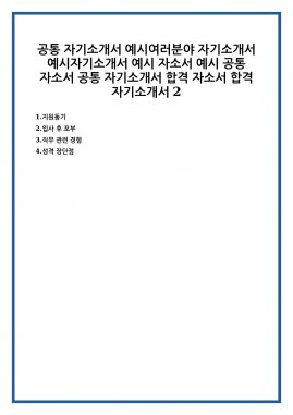 공통 자기소개서 예시여러분야 예시자기소개서 예시 자소서 합격 2-1페이지