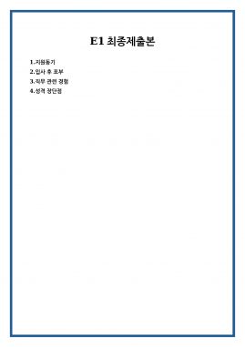 E1최종제출본 레포트 자료-1페이지