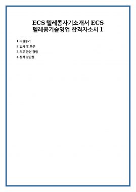 ECS텔레콤자기소개서 ECS텔레콤기술영업 합격자소서1-1페이지