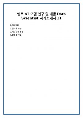 엠로 AI 모델 연구 및 개발Data Scientist 자기소개서11-1페이지