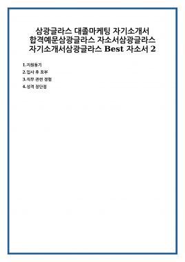 삼광글라스 대졸마케팅 자기소개서 합격예문삼광글라스 자소서삼광글라스 자기소개서삼광글라스 Best 자소서 2-1페이지