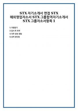 STX자기소개서 면접 STX해외영업자소서 STX그룹합격자기소개서STX그룹자소서항목1-1페이지