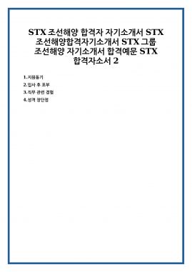 STX조선해양 합격자 자기소개서 STX조선해양합격자기소개서 STX그룹 조선해양 합격예문 STX합격자소서 2-1페이지