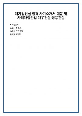 대기업건설 합격 자기소개서 예문 및 사례대림산업 대우건설 쌍용건설-1페이지